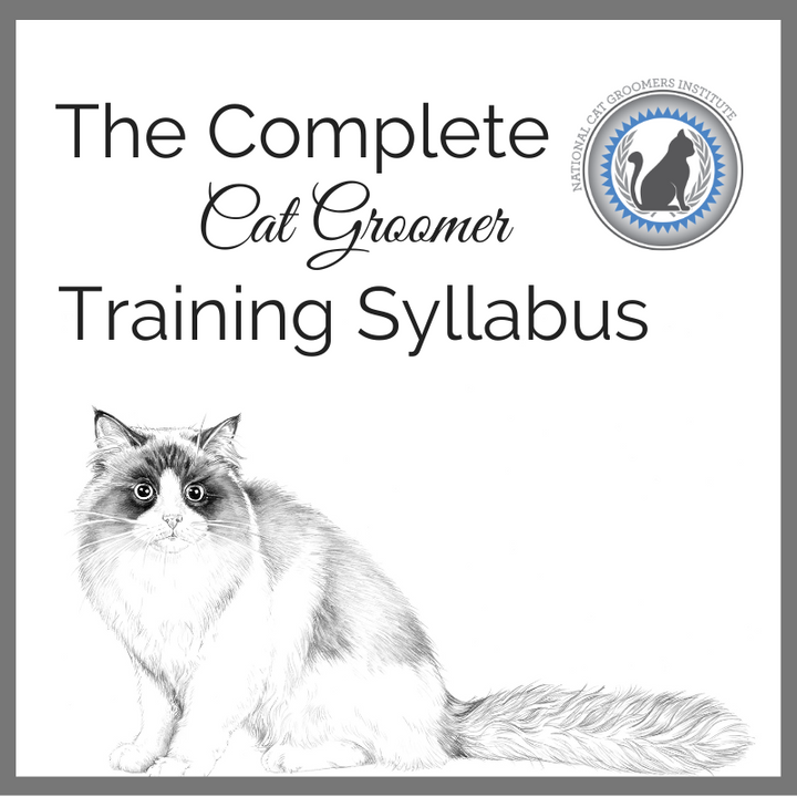 Cat Grooming Certification Syllabus Packages for All Levels | NCGI ...