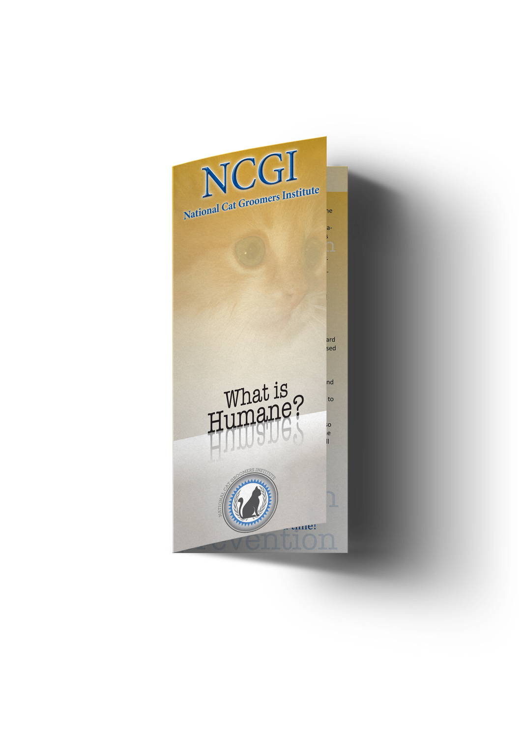 Cat Grooming Client Brochures – Packs of 50+ | NCGI – National Cat ...